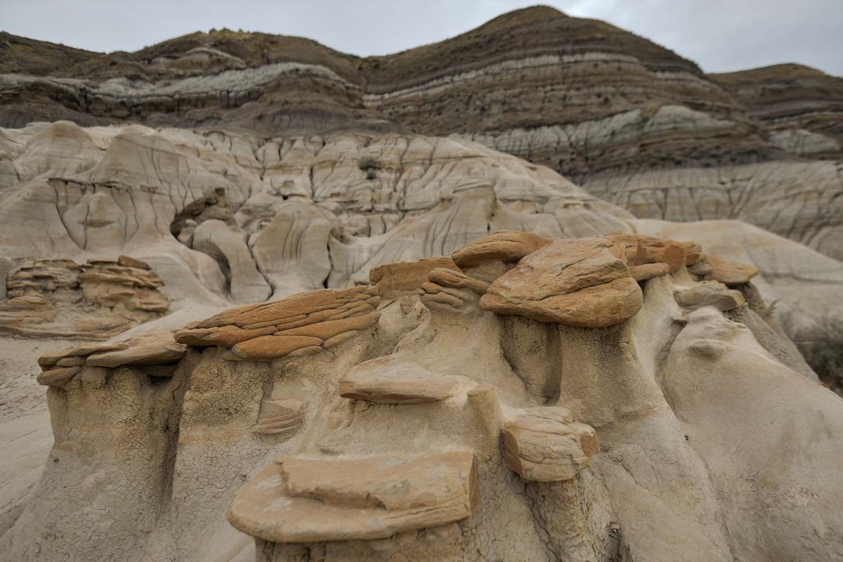 How Drumheller Landed on the Forefront of Dinosaur Tourism - InsideHook