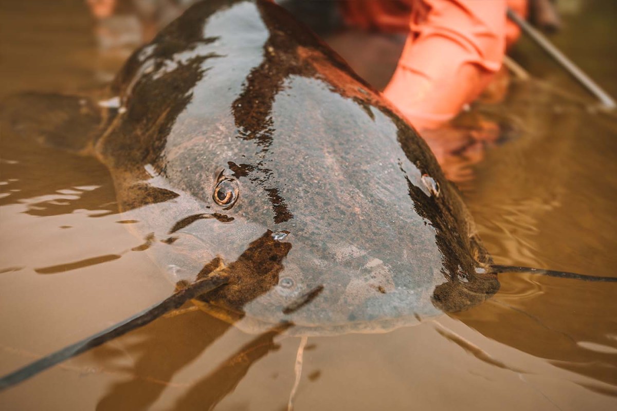 What It's Like to Heli-Fish the Bolivian Amazon - InsideHook