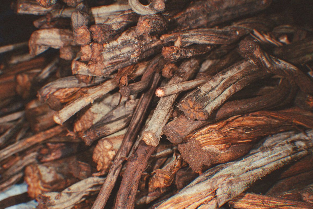 A Skeptic's Trip to the Heart of Ayahuasca Tourism - InsideHook