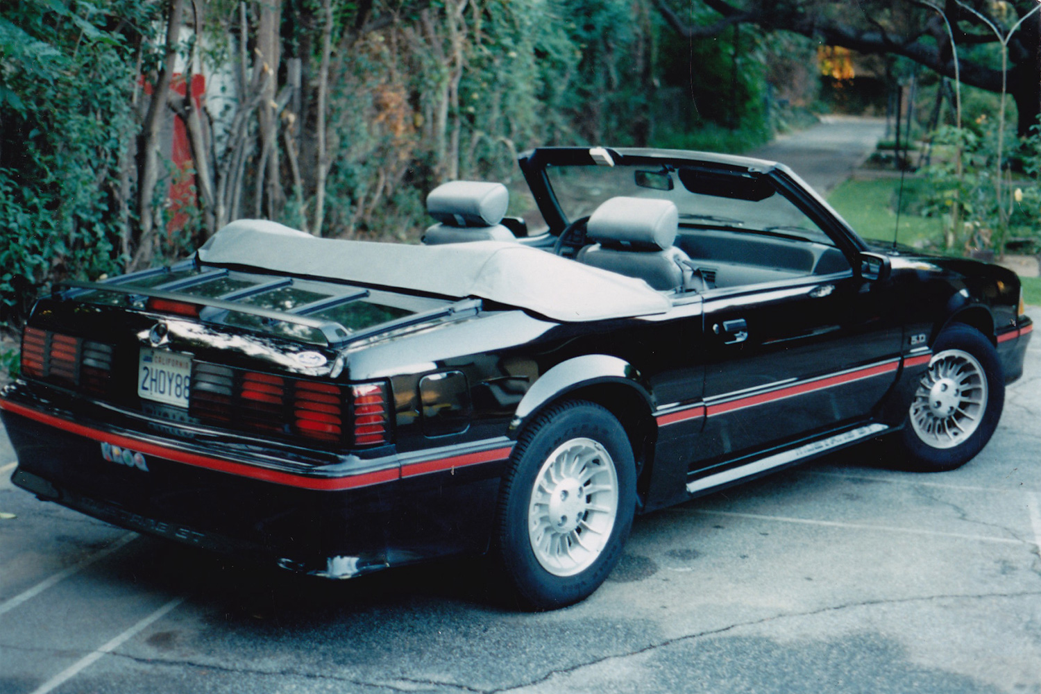 What Makes a Mustang a Mustang? - InsideHook