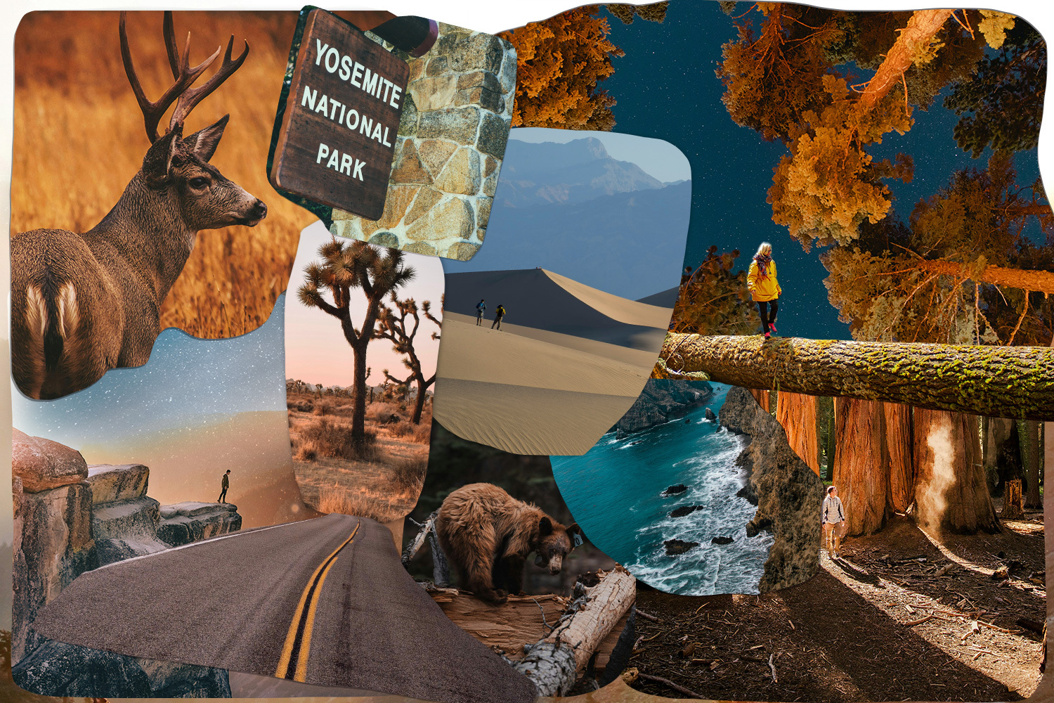 The Definitive Guide to All 9 of California’s National Parks - InsideHook