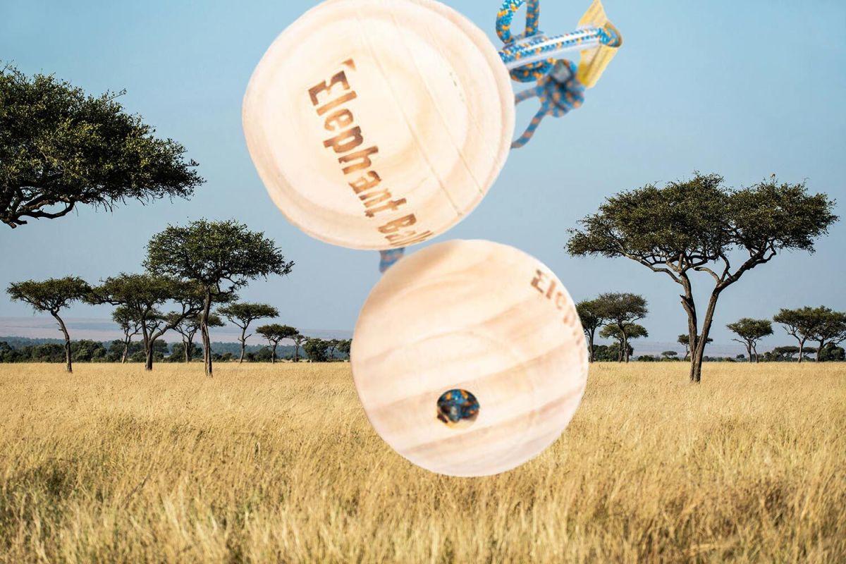 Review: Elephant Balls Are a Great Tool to Improve Grip Strength ...