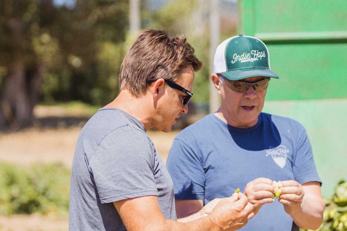 Is Climate Change Altering Your Favorite Hoppy Beers? - InsideHook