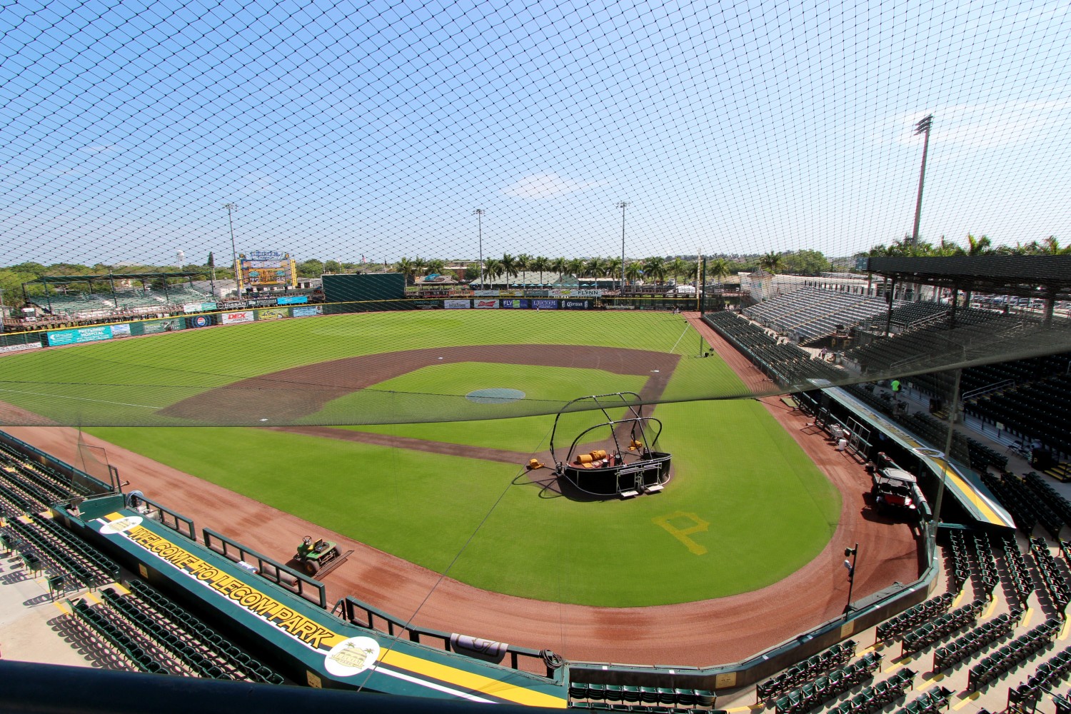 Minor League Baseball Game Interrupted by Outfield Turtle - InsideHook