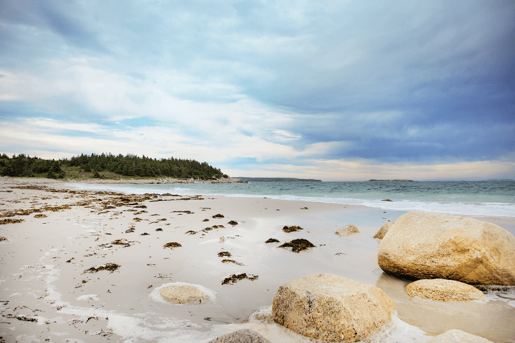 Halifax, Nova Scotia Is No Longer Canada’s Best Kept Secret - InsideHook