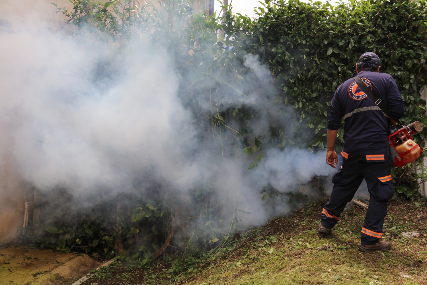 CDC Warns Americans of Increased Dengue Fever Risk - InsideHook