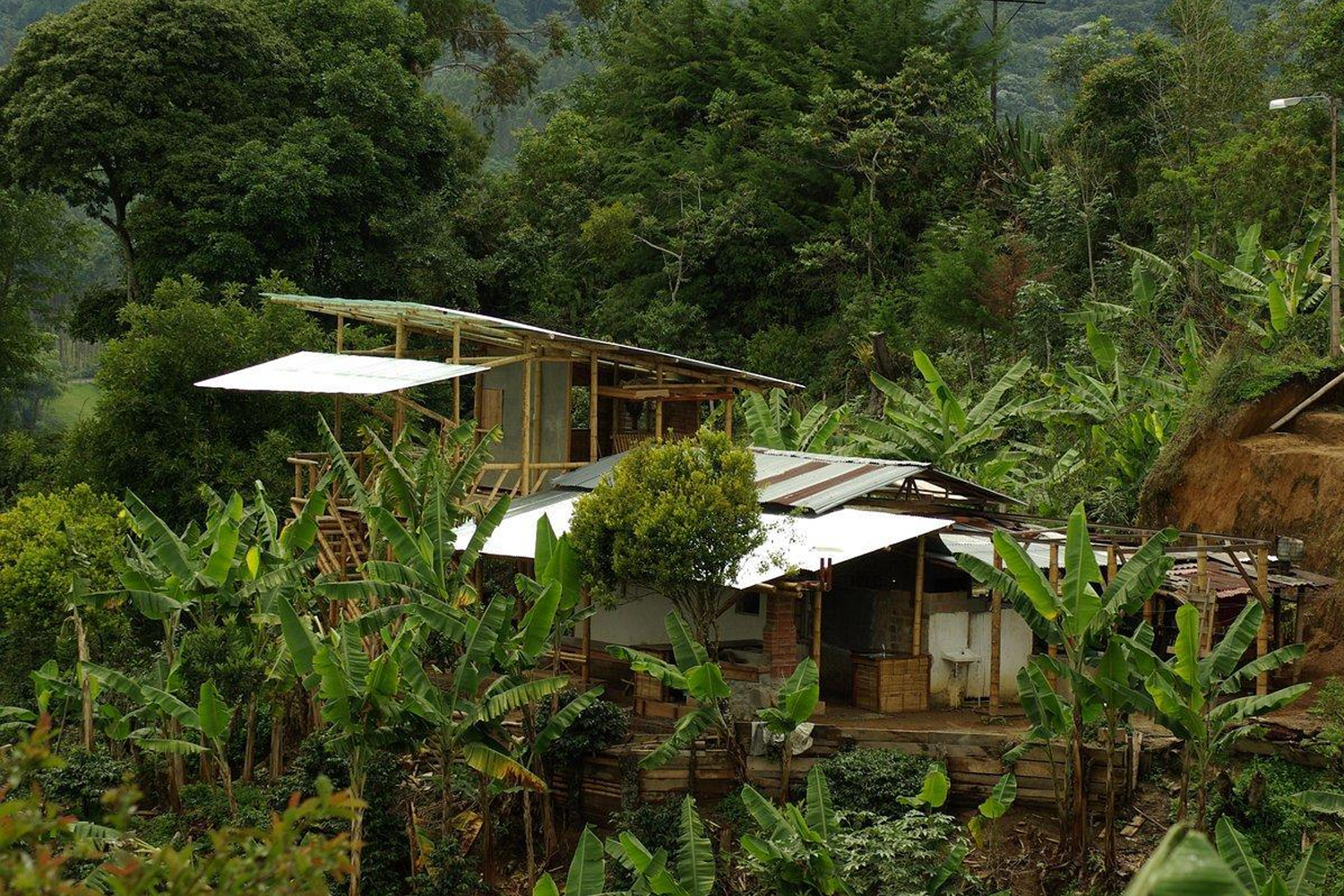 Three Family-Run Coffee Farms to Visit in Salento, Colombia - InsideHook