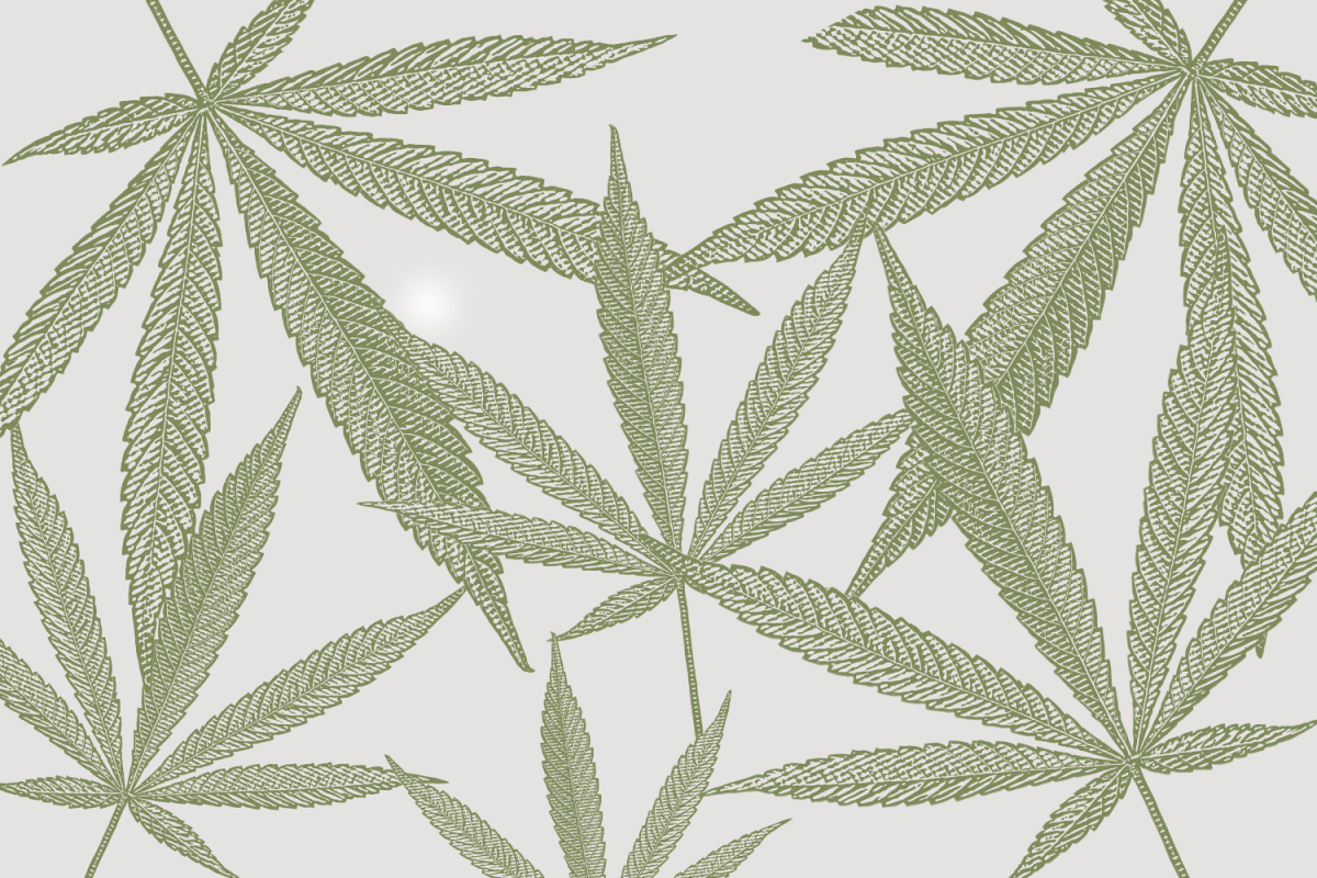 Cornbread Hemp CBD Is for the Label-Conscious Buyer - InsideHook