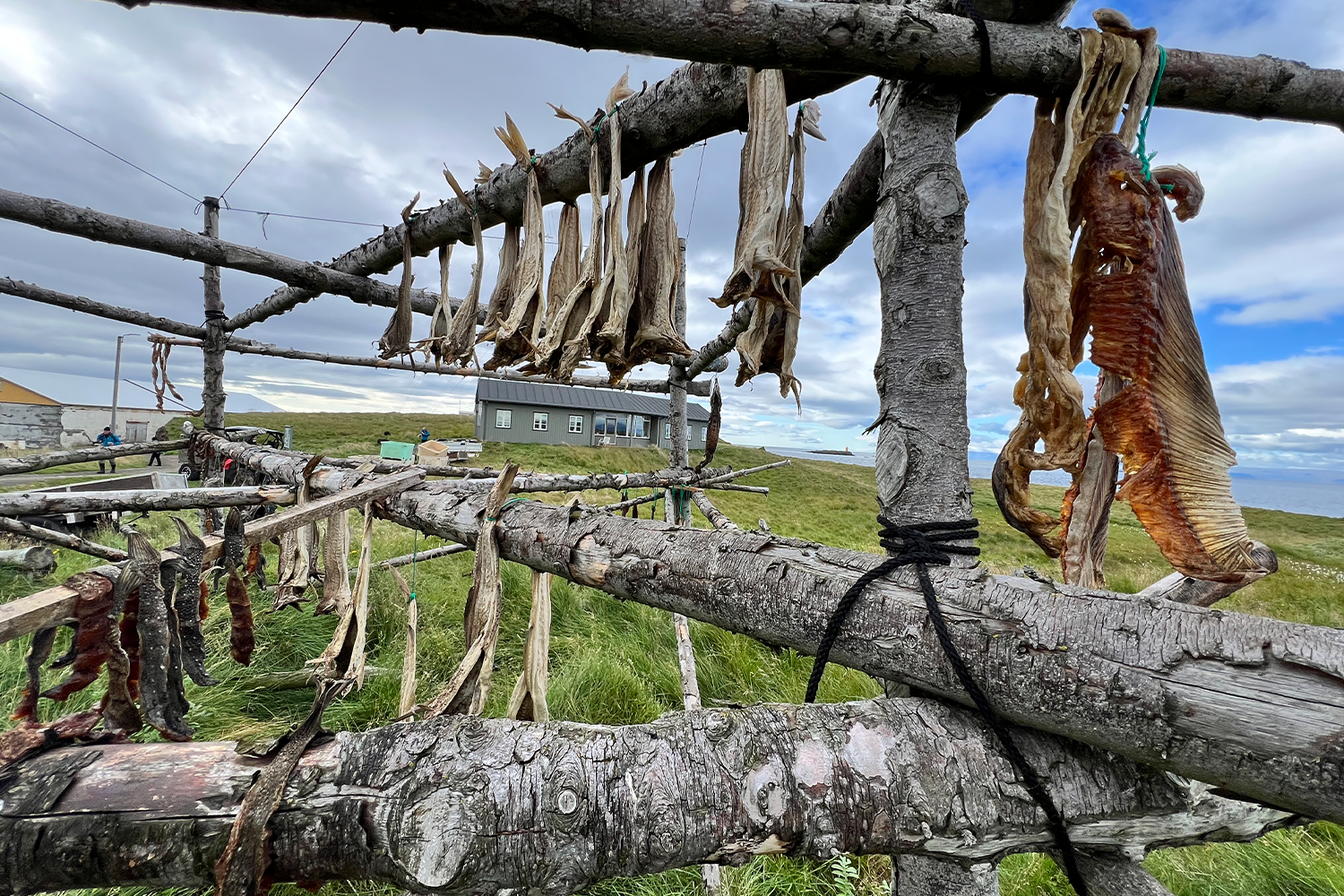 Circumnavigating Iceland on a Nat Geo Cruise Ship - InsideHook
