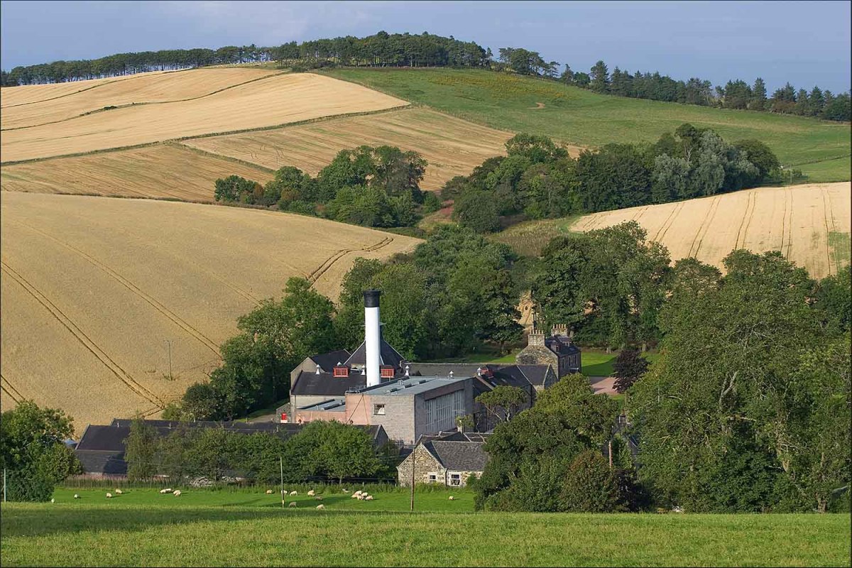 Geography Affects Whiskey Production More Than You Think - InsideHook