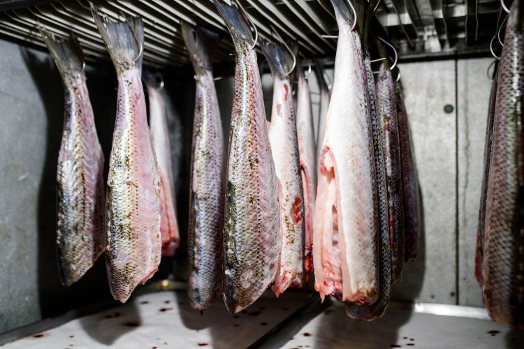 Dry-Aged Fish Is Coming to a Restaurant Near You - InsideHook