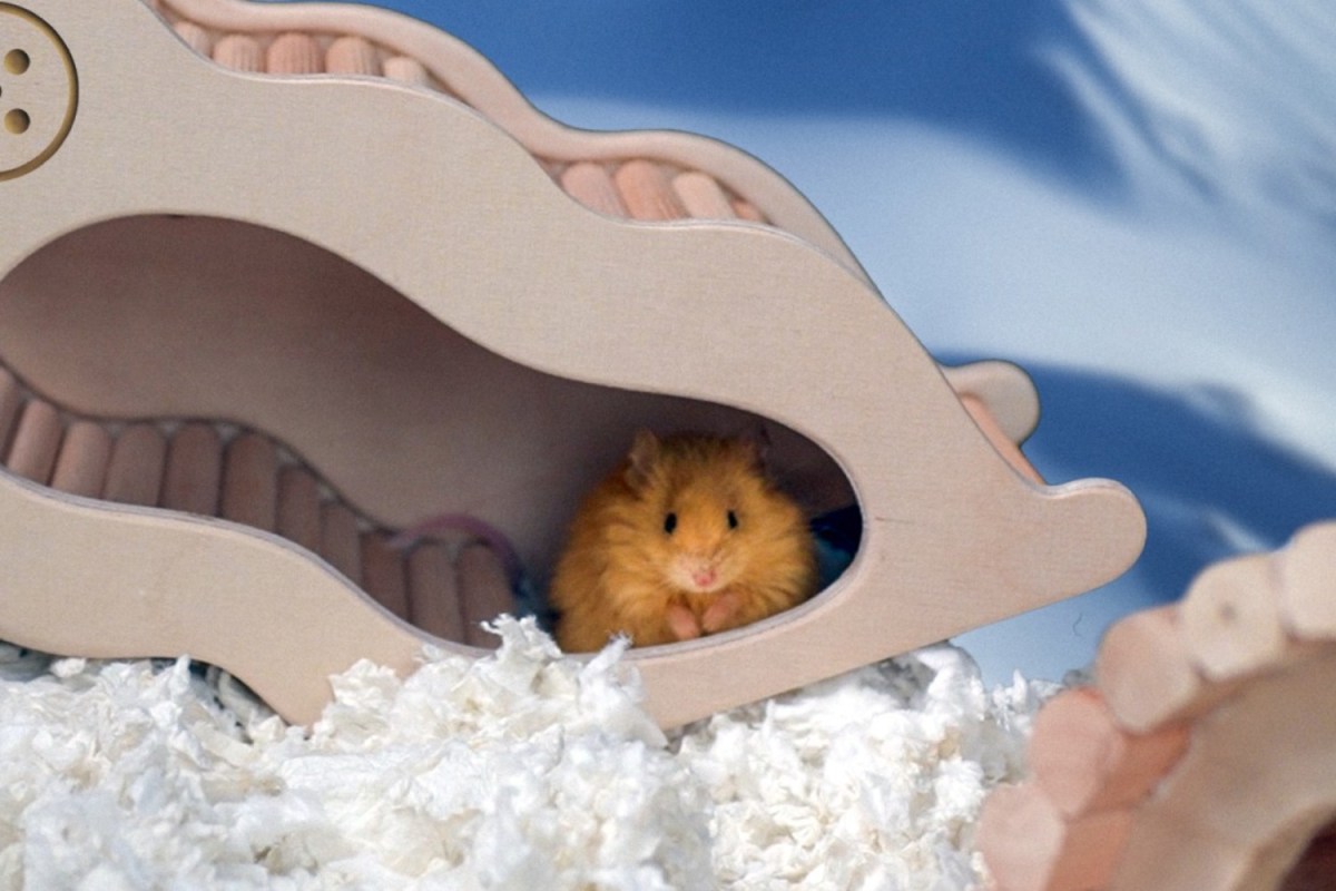 Have Scientists Created Hybrids of Mice and Mammoths? - InsideHook