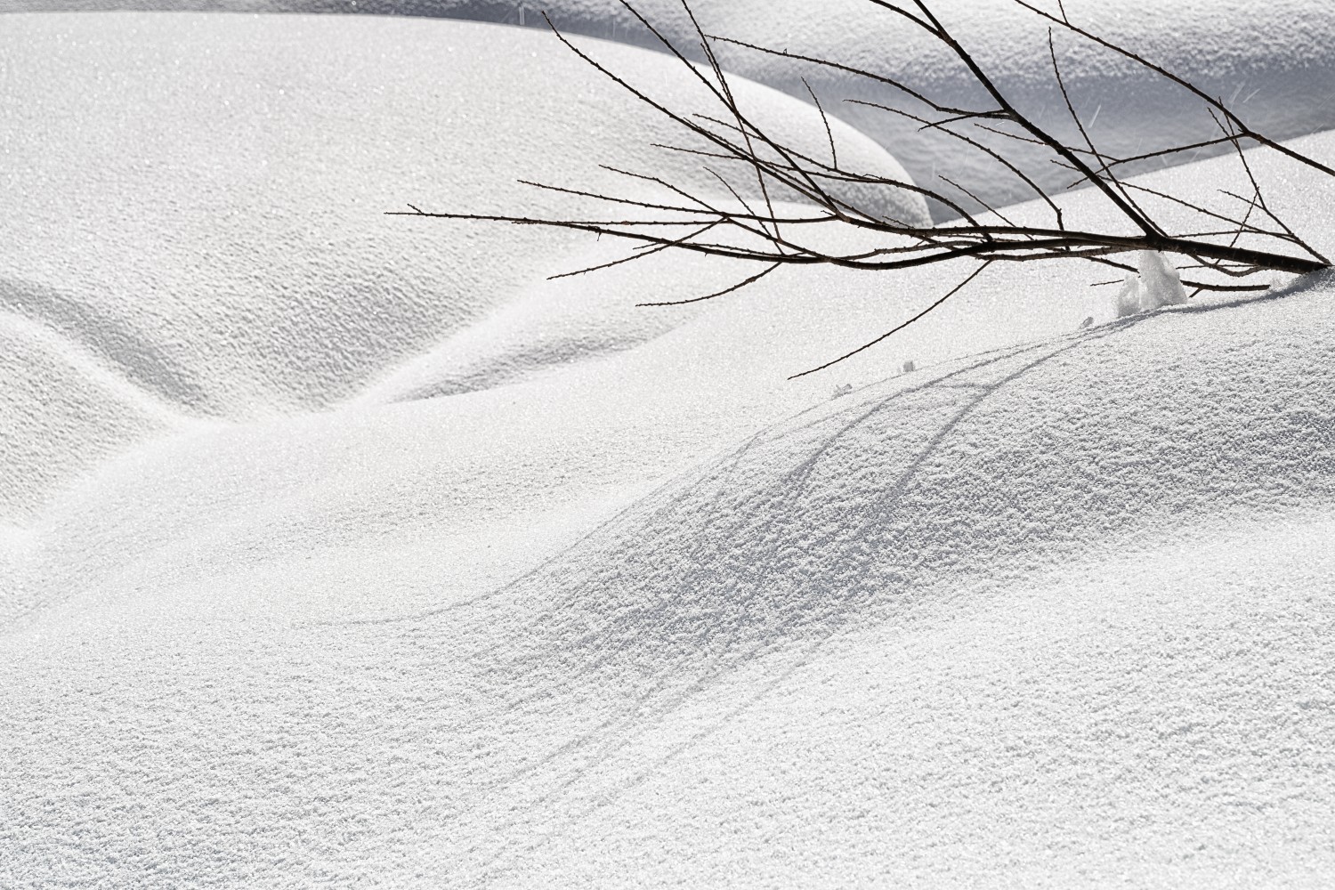 One Ski Instructor Explored the Taxonomy of Snow - InsideHook