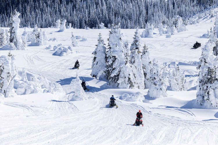 The Best Way to See Yellowstone Is From a Snowmobile - InsideHook