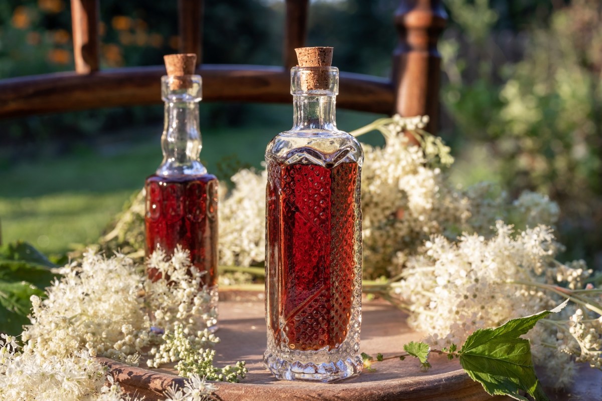 Go Deep on Bitterness and Botanicals With Homemade Amaro - InsideHook