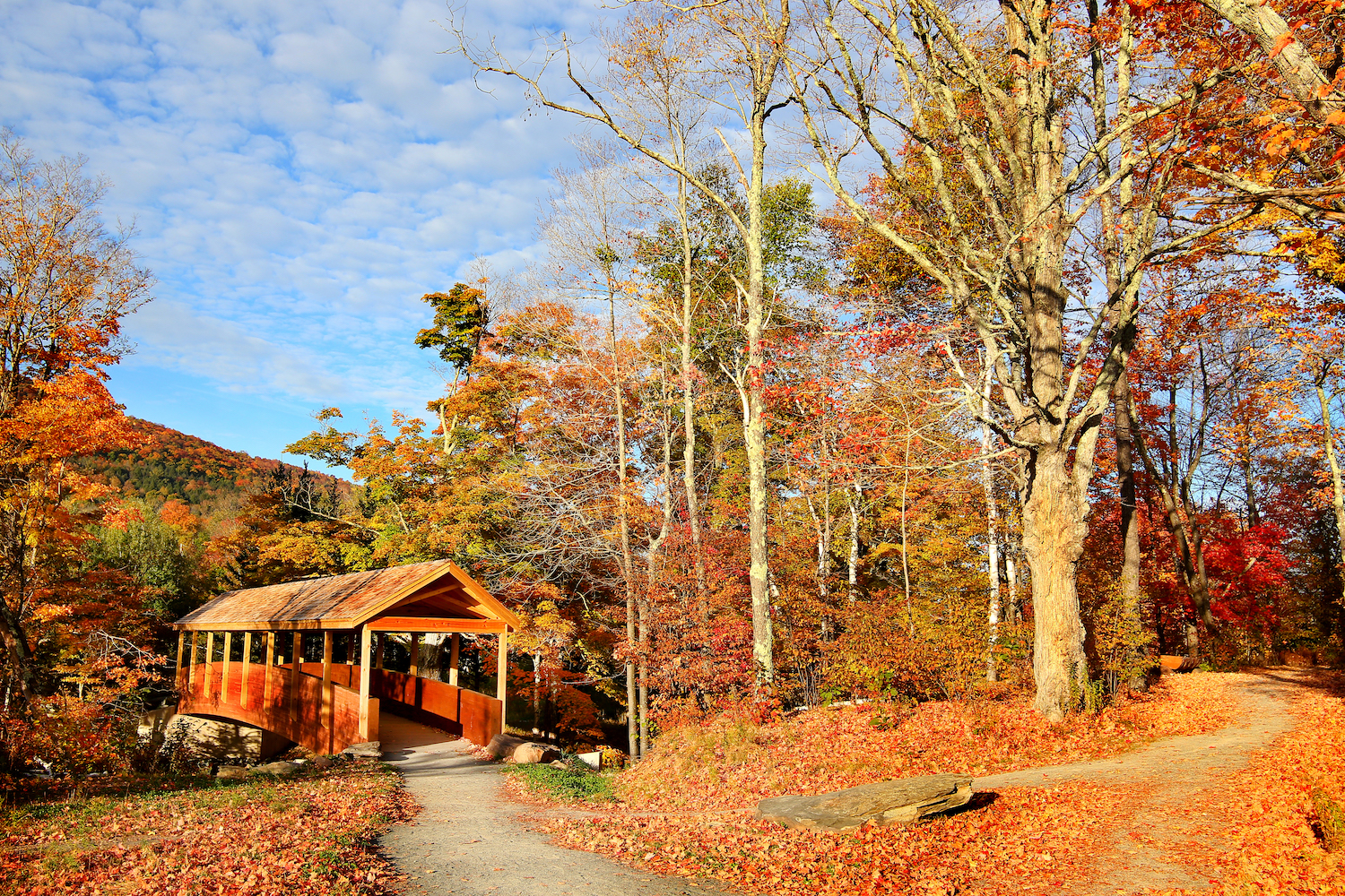 Windham, New York Is the Coolest Mountain Town in the Northeast ...