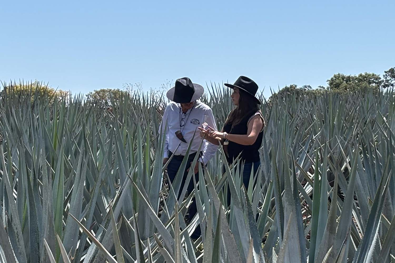 Meet Jenny Camarena, El Tesoro’s New CEO and Master Distiller - InsideHook