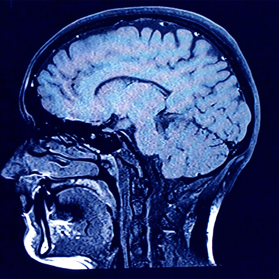 The History of the Piñata - InsideHook