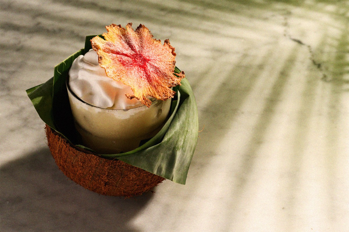 Surprise! Coconut Rums Are Actually Good Now. - InsideHook