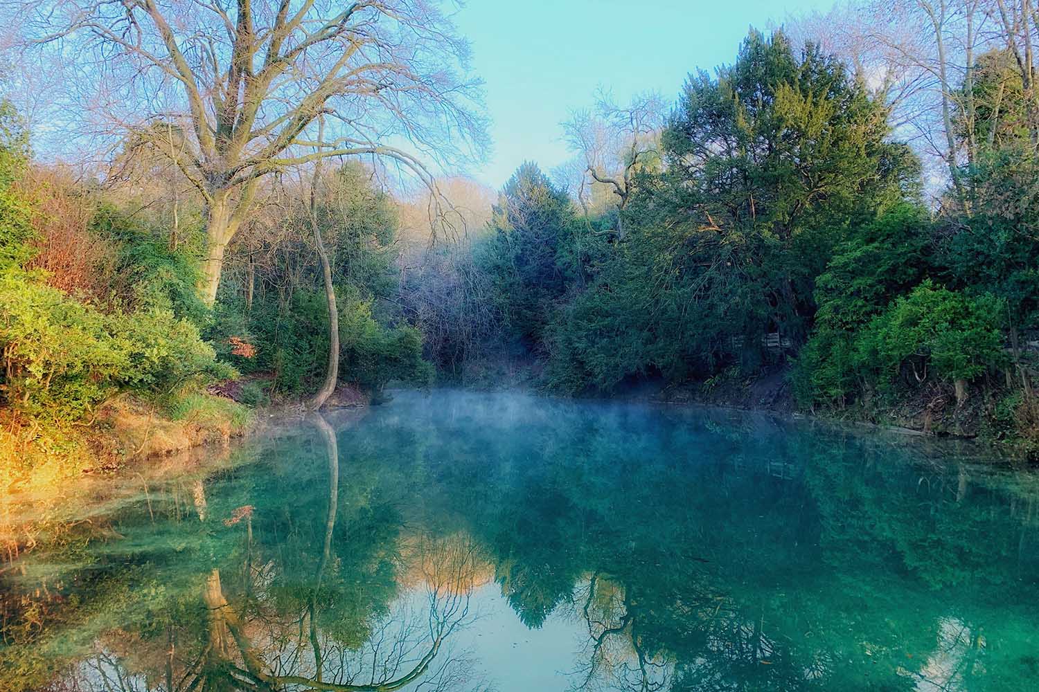 Silent Pool Is the Ideal Summer Gin - InsideHook