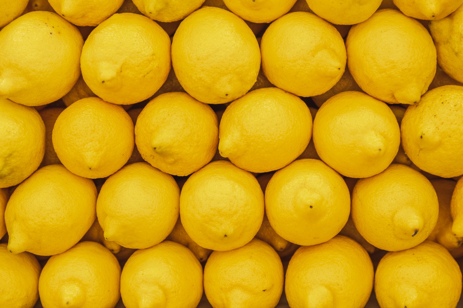 Canned Vodka Lemonade Is Gaining Ground in 2025 - InsideHook