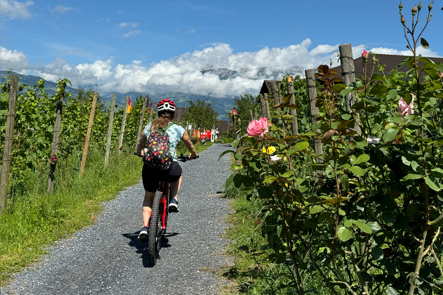 Tiny Gem: The Liechtenstein Trail Takes Visitors "Coast to Coast ...