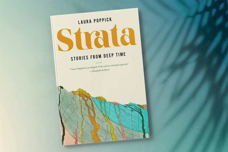 The 10 Books You Should Be Reading This July