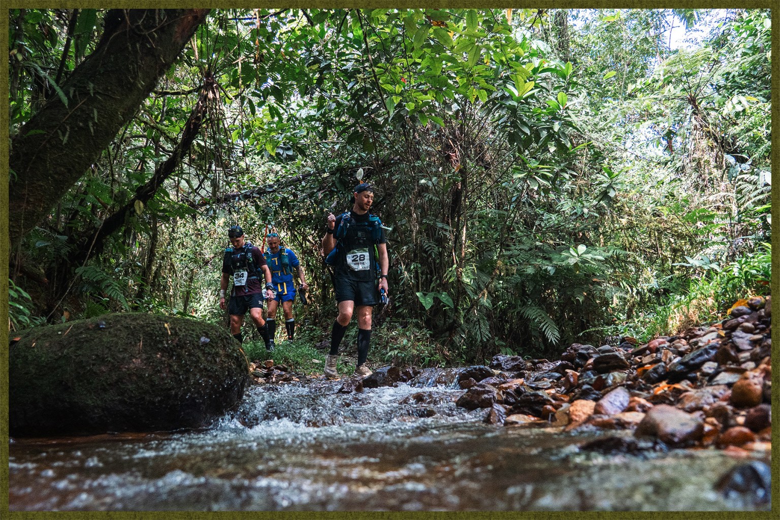 "It’s Very Hostile": How to Run (and Survive) Your First Jungle Ultra ...