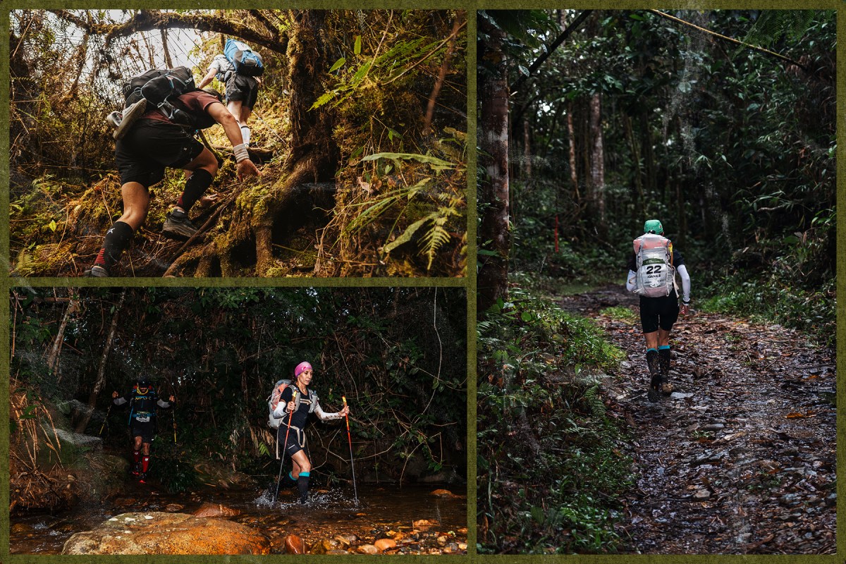 "It’s Very Hostile": How to Run (and Survive) Your First Jungle Ultra ...
