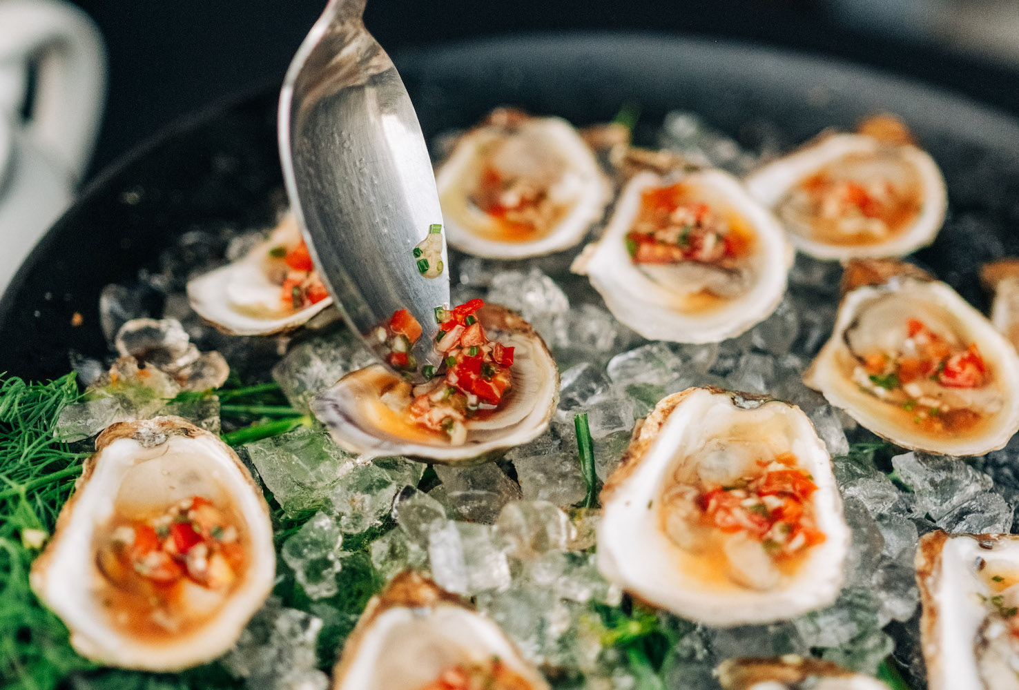 Terra Madre Americas Is the Most Exciting Culinary Event of 2025 ...