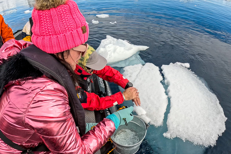 Are There Microplastics in Antarctica? - InsideHook