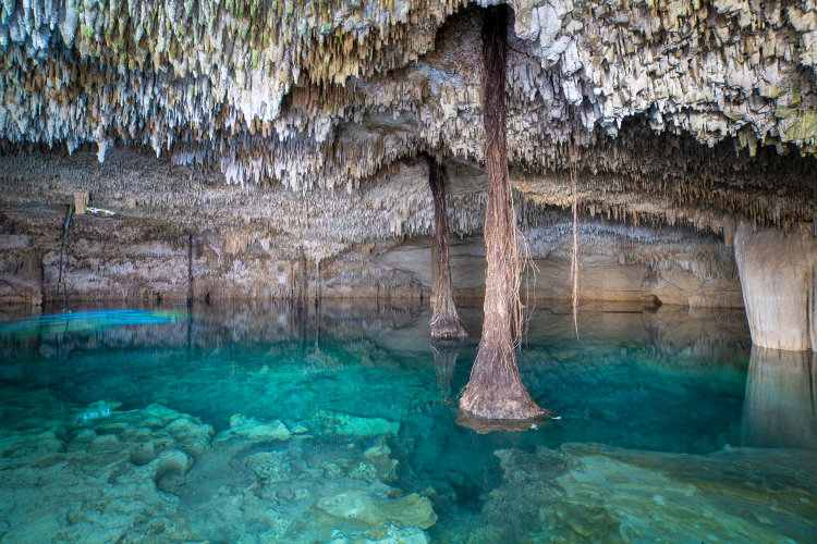 Mexico’s Cenote Zapote Is Like Something From "Stranger Things ...