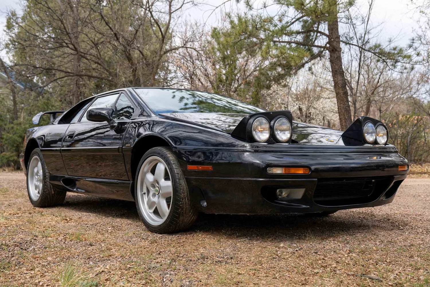 "He Liked Cars That Go Fast": Cormac McCarthy's Lotus for Sale - InsideHook
