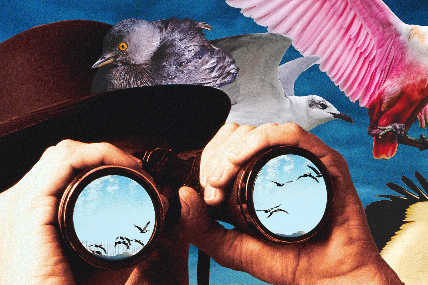 Real Men Bird Watch - InsideHook